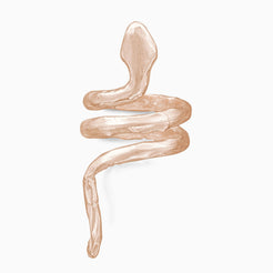 Naga ring – Wright & Teague