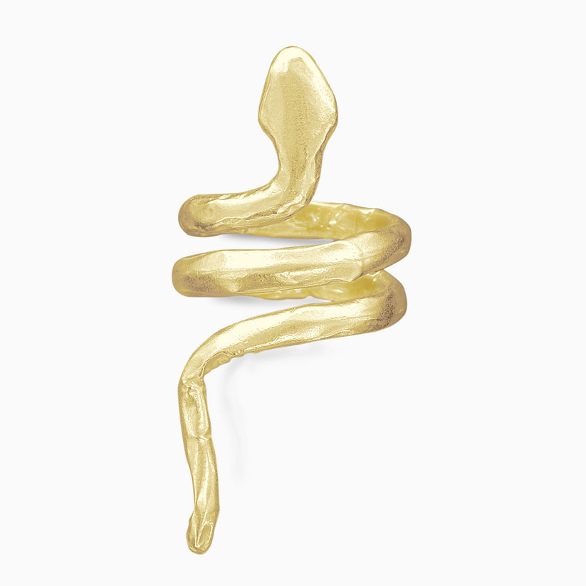 Naga ring – Wright & Teague